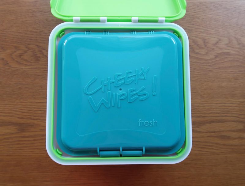 Cheeky Wipes REVIEW - Reusable and Eco-Friendly Wipes