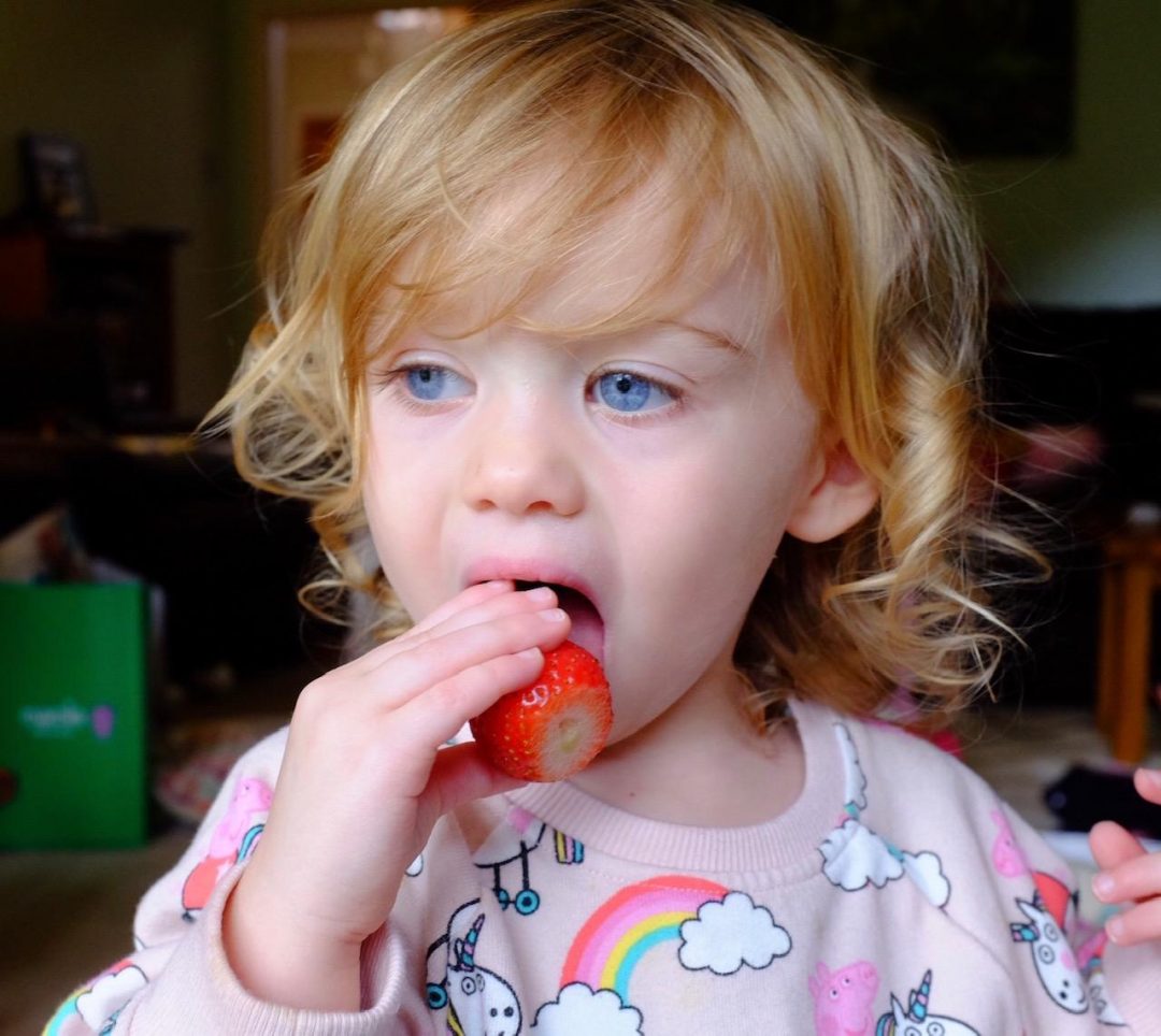 Berries - Helping Your Child to Eat More with Seasonal Berries