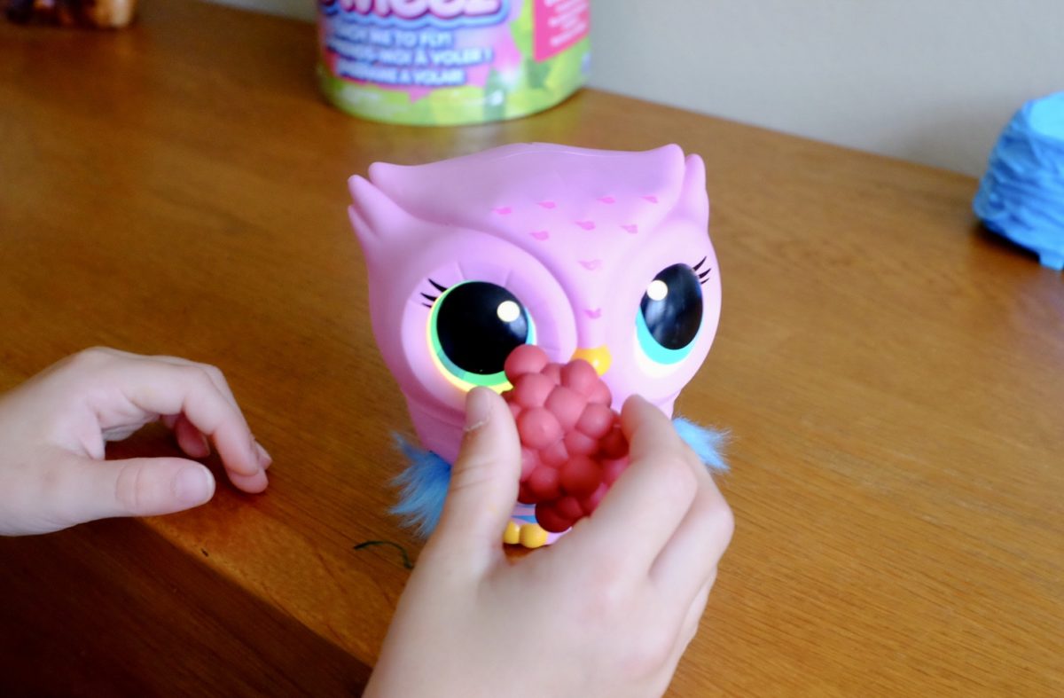 Owleez Flying Owl Toy - Teach Your Owl to Fly! - REVIEW