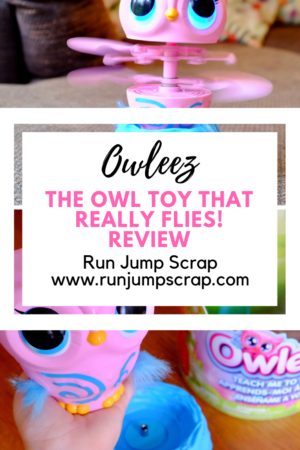 Owleez Flying Owl Toy - Teach Your Owl to Fly! - REVIEW
